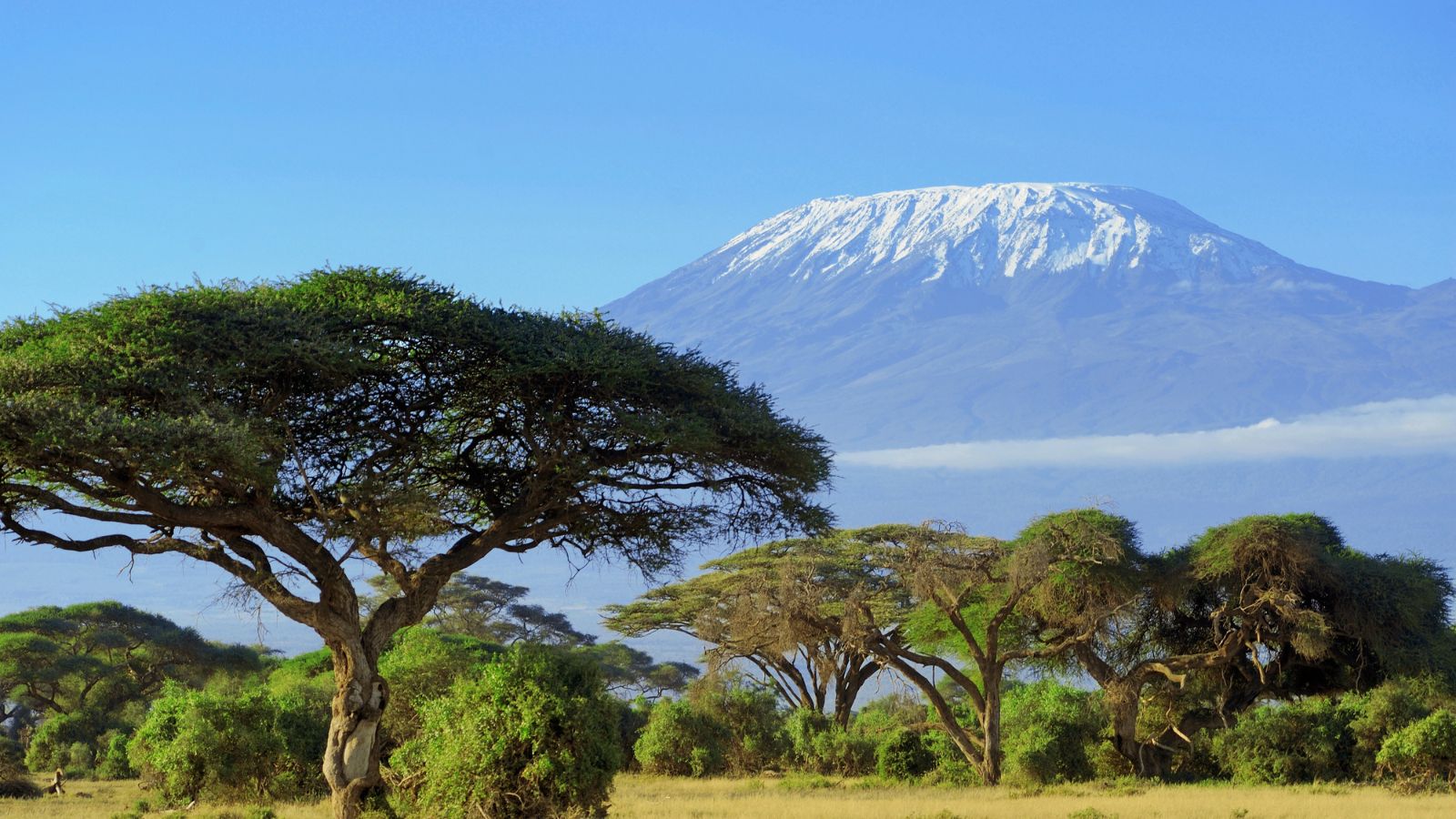 17 Spectacular Volcano Hikes Around the World for Adventurers - The ...