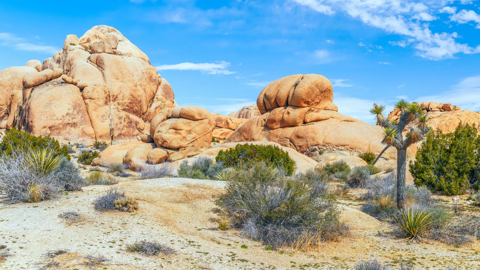 Journey Through America's History with These 21 Iconic National ...