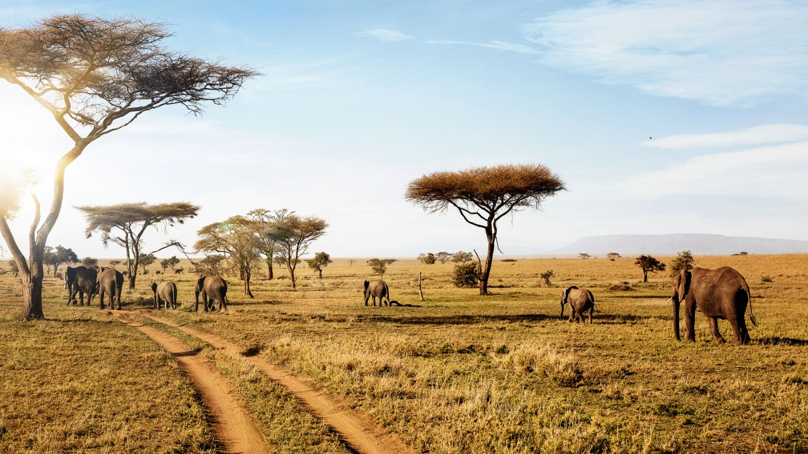 The 14 Most Amazing Wildlife Safaris for Nature Enthusiasts - The ...
