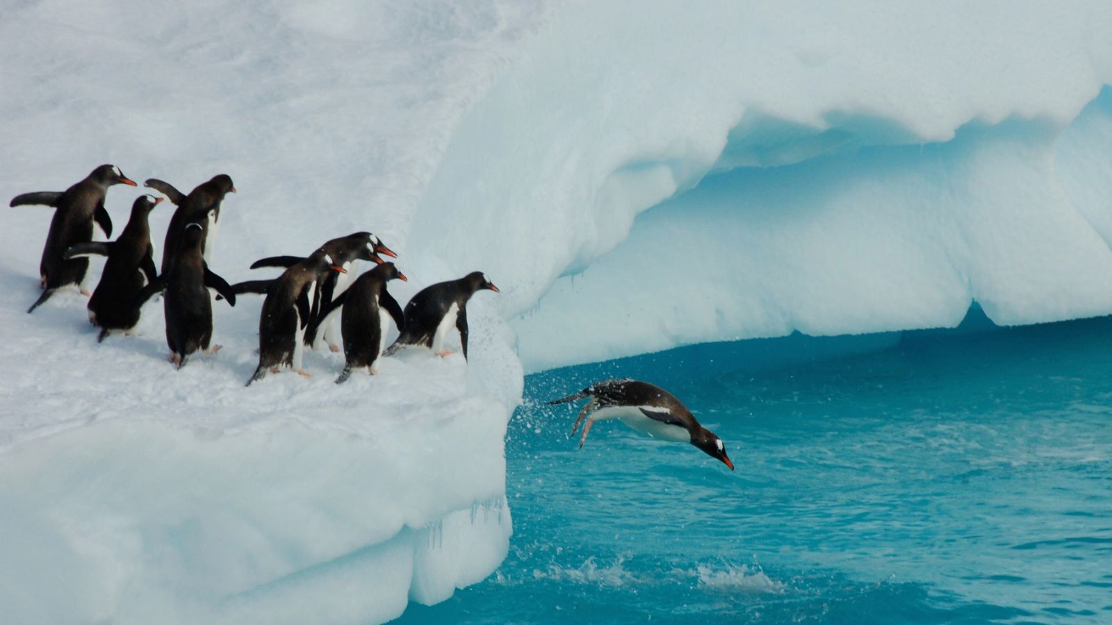 The 14 Most Amazing Wildlife Safaris for Nature Enthusiasts - The ...