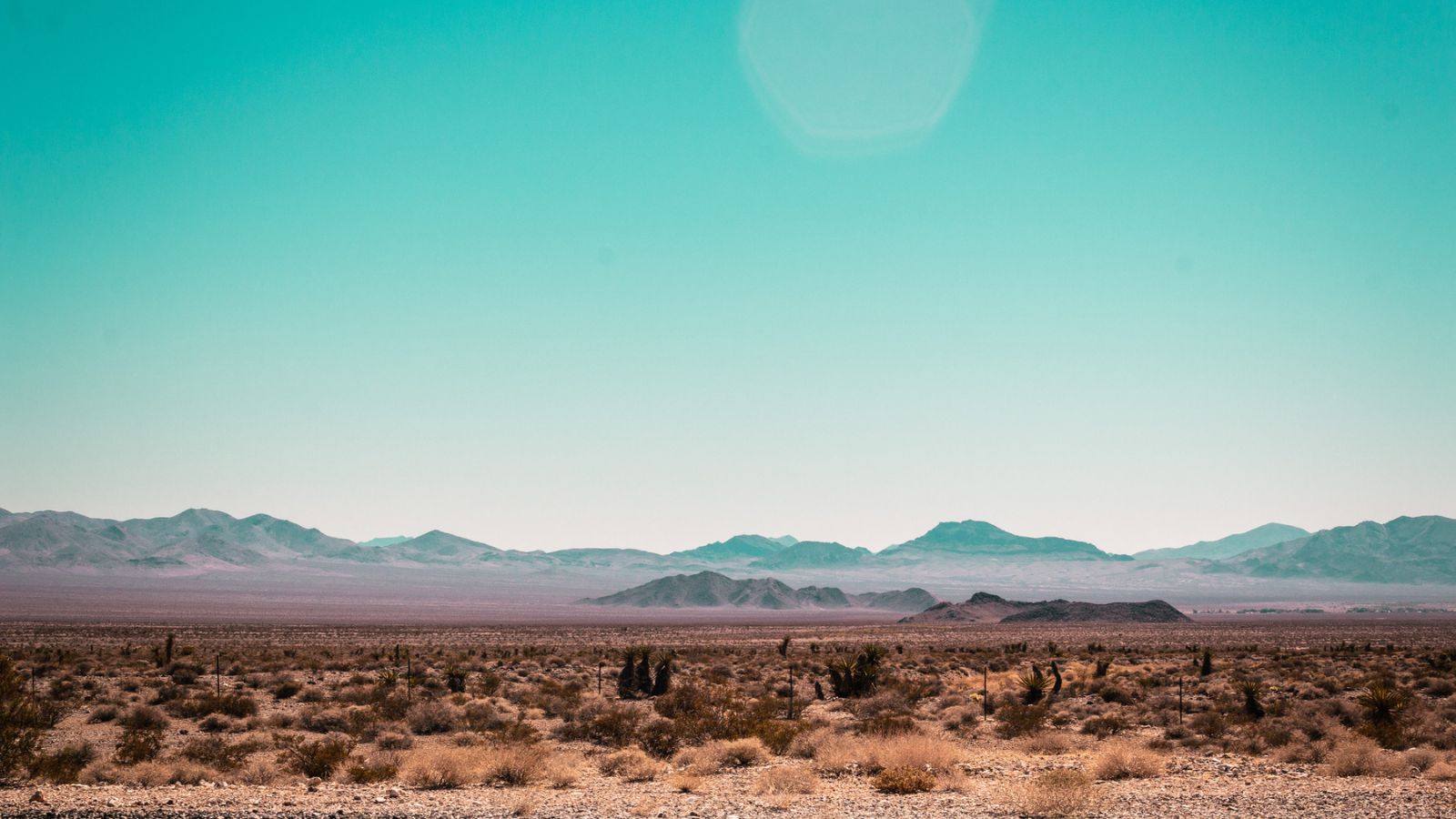 19 Breathtaking Desert Oases in the U.S. You Must Visit - The Modern ...