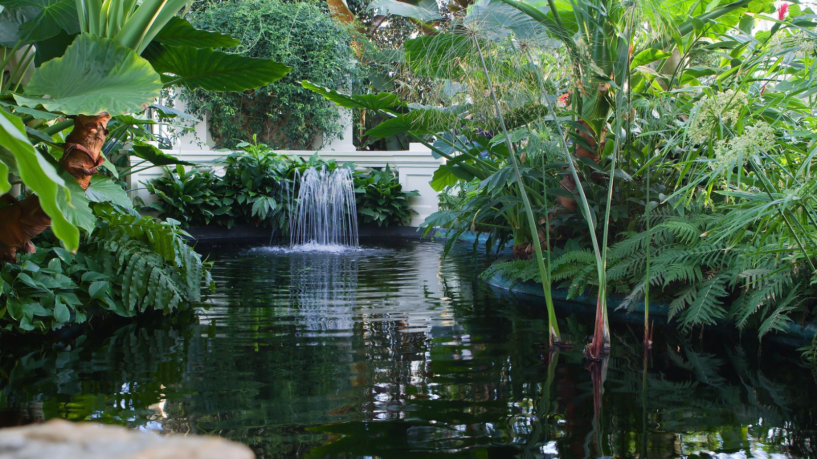 20 Breathtaking U.S. Gardens That Come Alive in Summer - The Modern Day ...