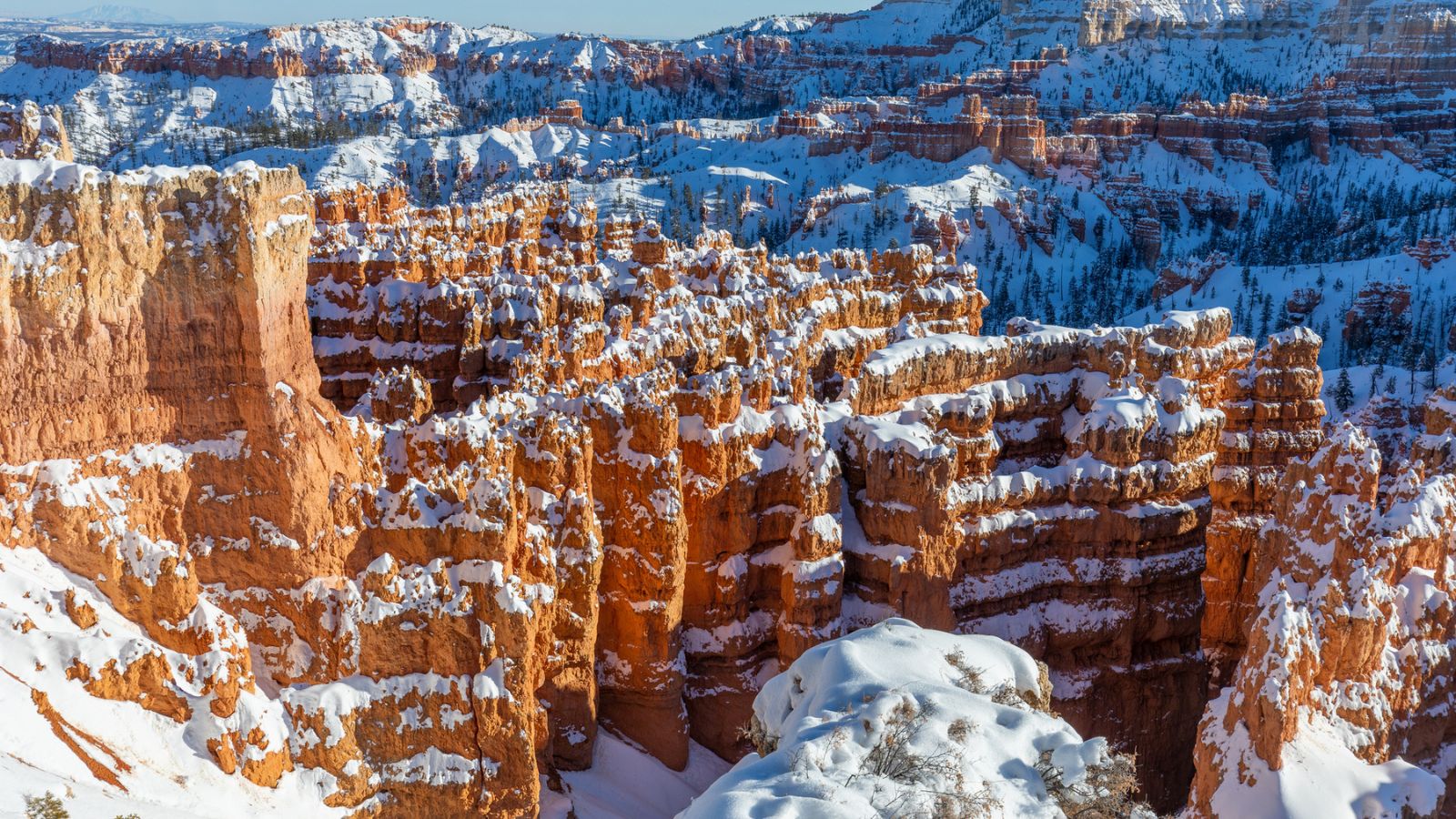 20 Scenic Desert Landscapes in the U.S. That Will Leave You Speechless ...