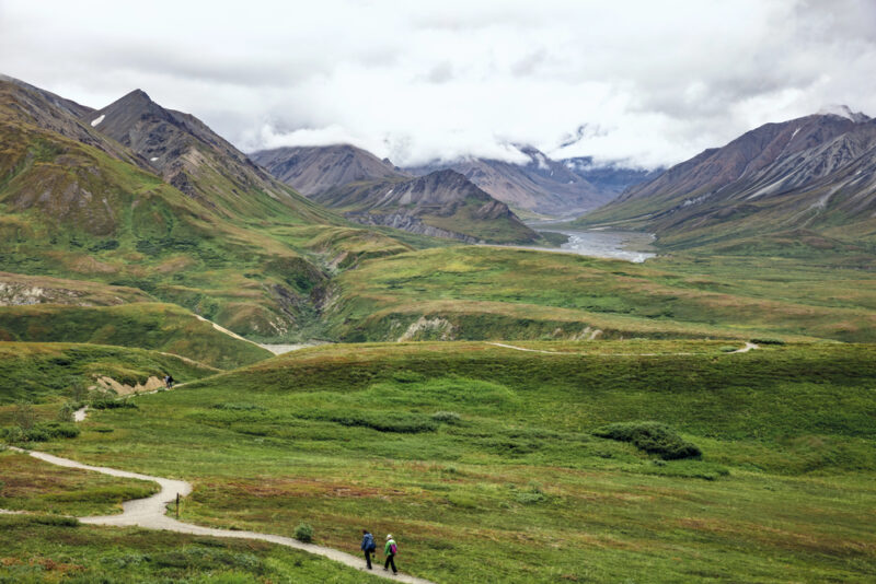 20 Amazing U.S. Wildlife Reserves That Will Satisfy Your Safari ...