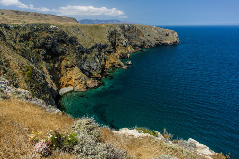 20 Amazing U.S. Wildlife Reserves That Will Satisfy Your Safari ...