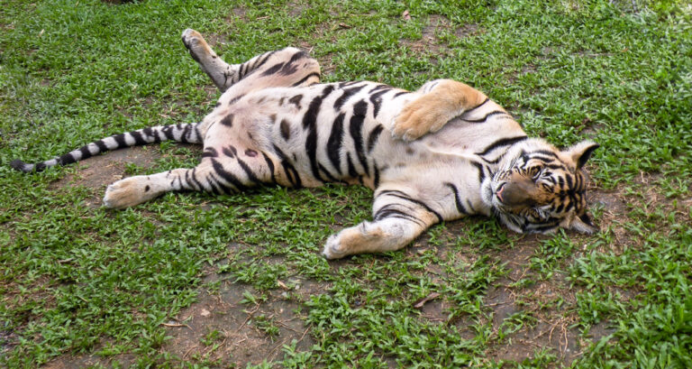 19 Best U.S. Wildlife Sanctuaries to Immerse Yourself in Nature - The ...