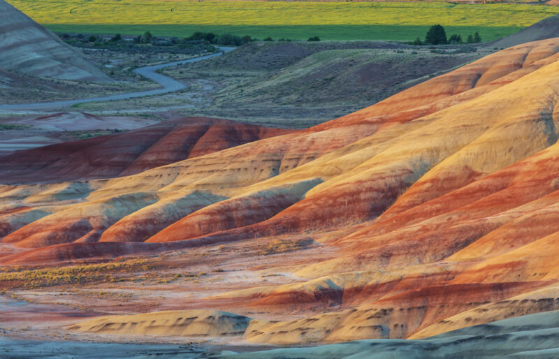 From Dinosaurs to Trilobites: 18 U.S. Fossil Hunting Destinations You ...