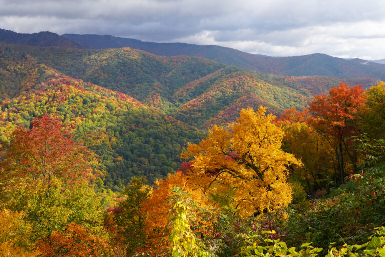 18 Gorgeous American Landscapes Every Nature Lover Must See - The ...