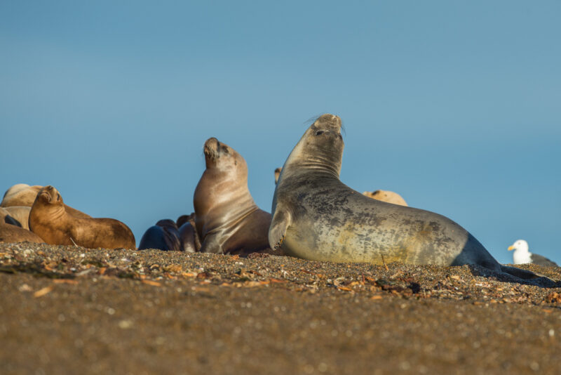 20 Amazing U.S. Wildlife Reserves That Will Satisfy Your Safari ...