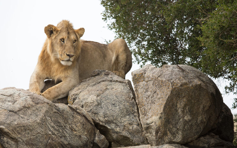 19 Best U.S. Wildlife Sanctuaries to Immerse Yourself in Nature - The ...