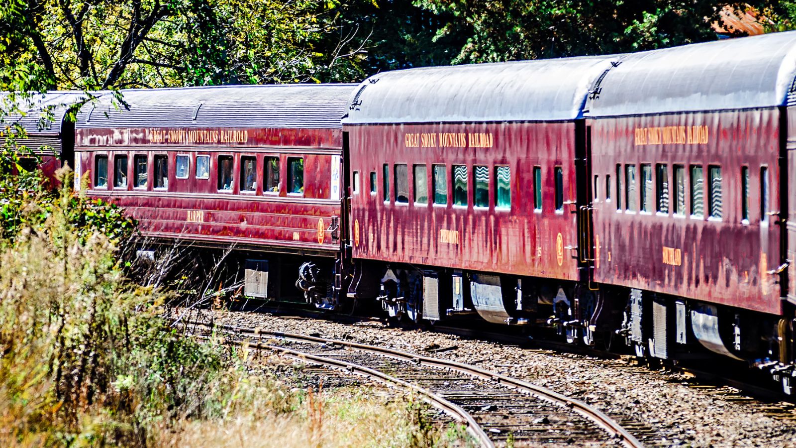 Experience America’s Most Scenic Views by Train: 20 Destinations to ...