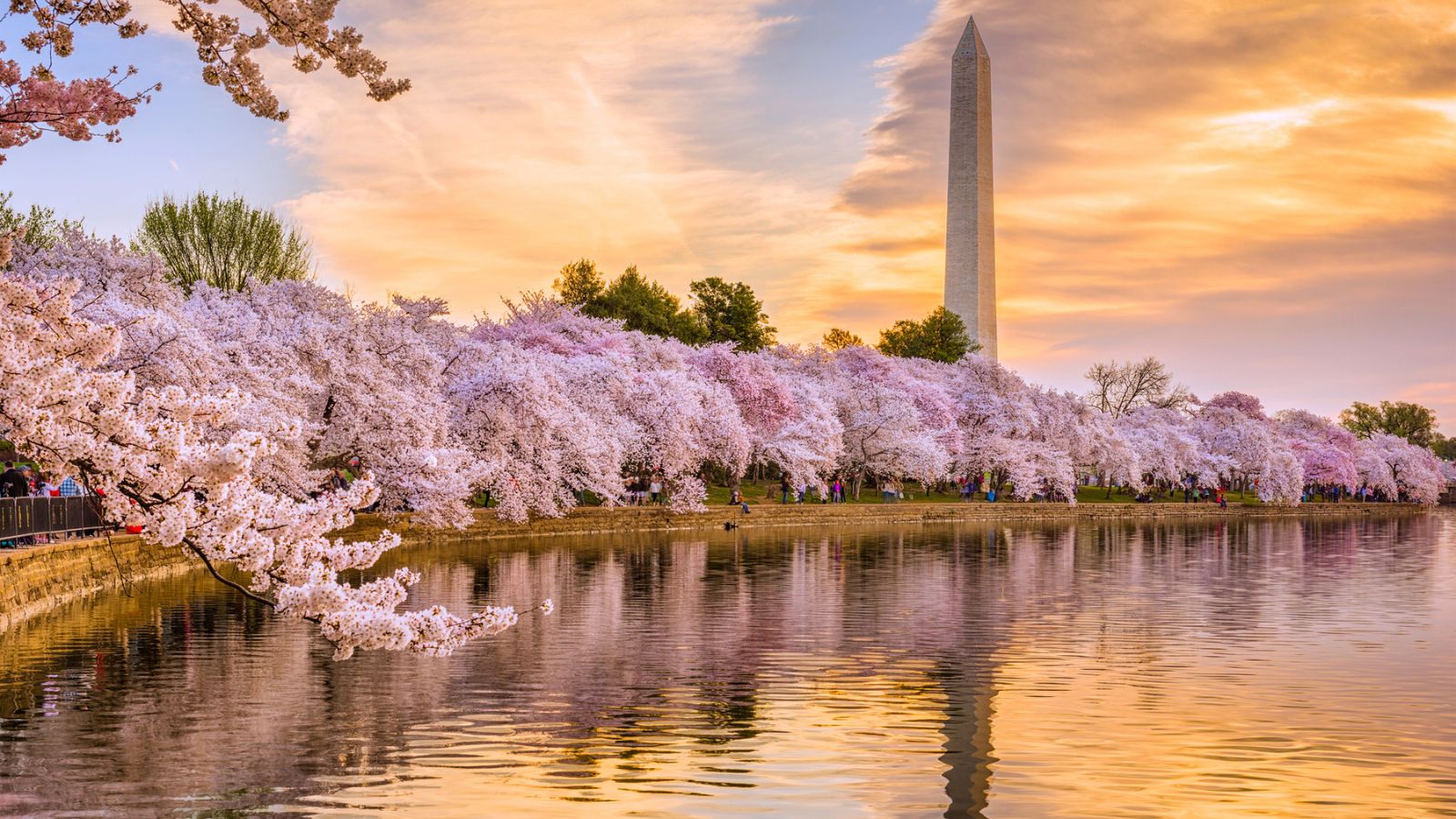 Step Back in Time at These 20 U.S. Cities with Iconic Historic Theaters ...