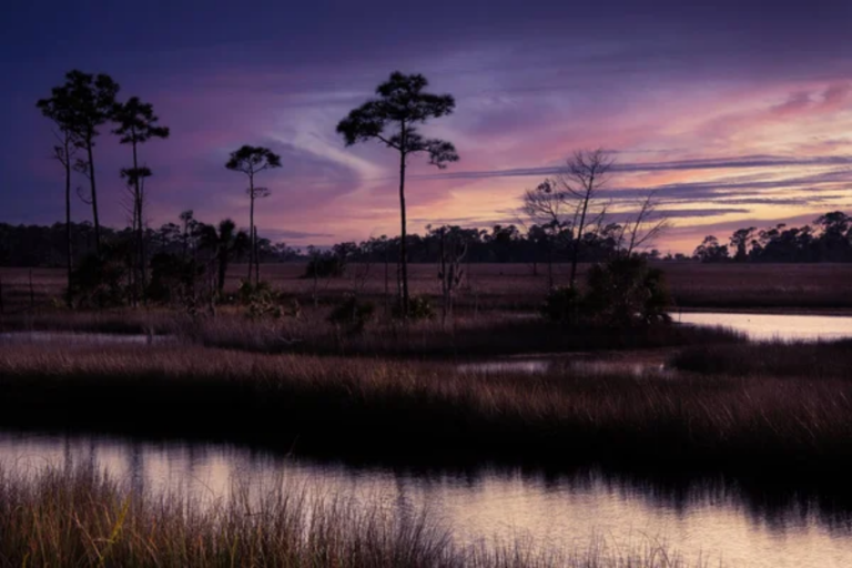 20 Amazing U.S. Wildlife Reserves That Will Satisfy Your Safari ...