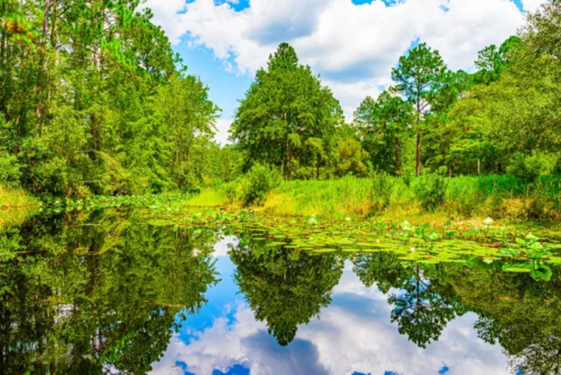 20 Amazing U.S. Wildlife Reserves That Will Satisfy Your Safari ...
