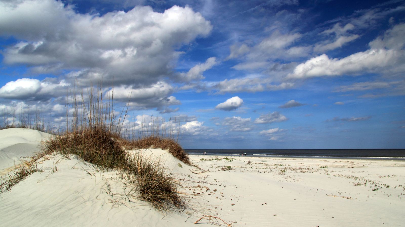 These 17 U.S. National Seashores Deserve a Spot on Your Bucket List ...