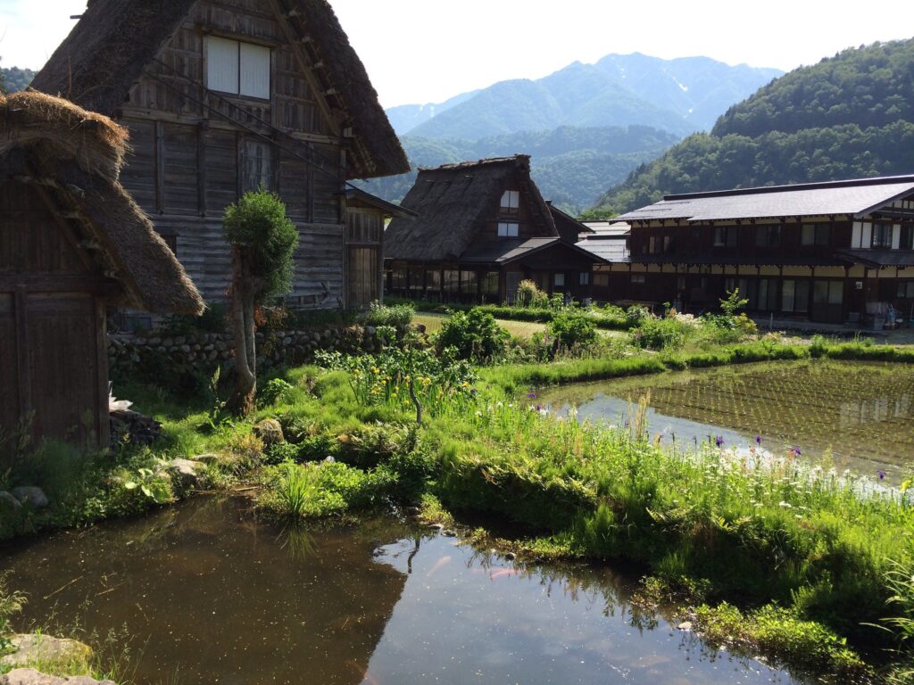 20 Quiet Corners of Japan Where Tradition and Nature Embrace - The ...
