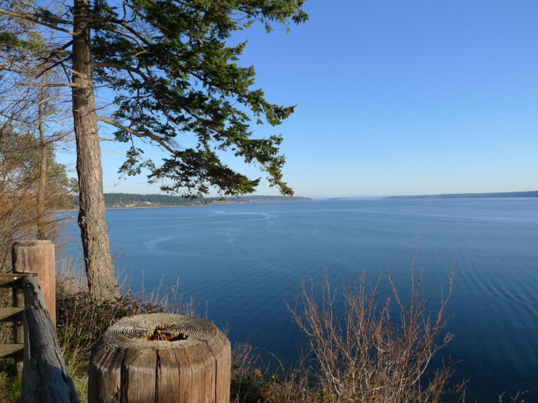 Visit These 18 Hidden Pacific Islands in Washington for a Slice of ...