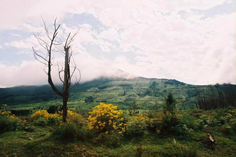 17 Villages in South Africa with Rich History and Breathtaking Views ...