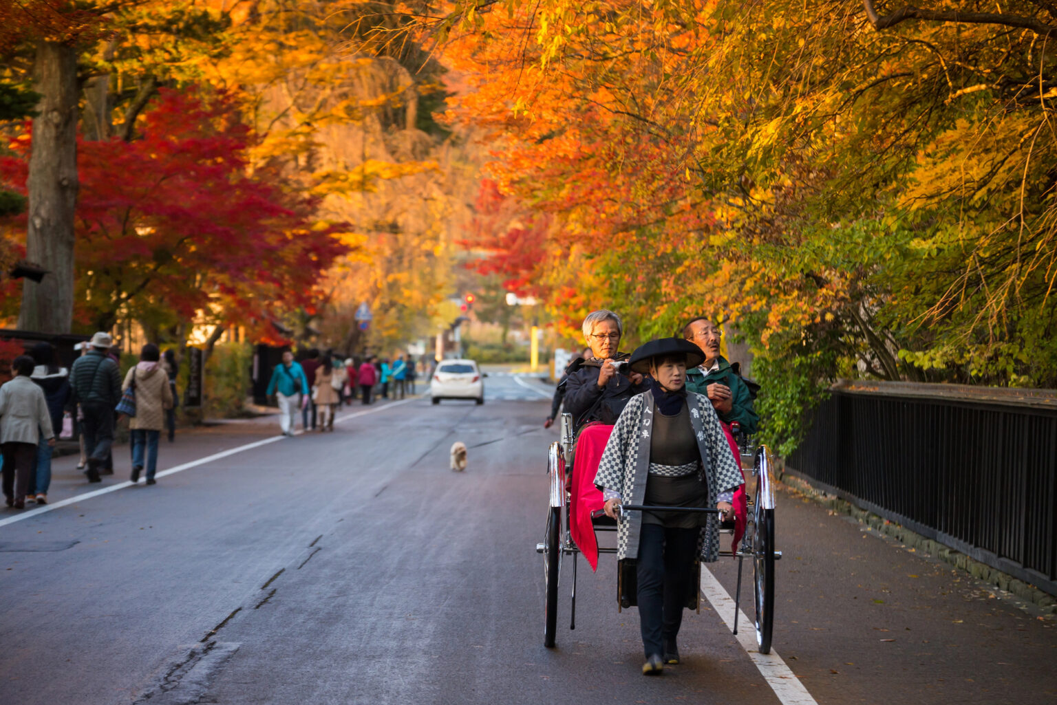 20 Quiet Corners of Japan Where Tradition and Nature Embrace - The ...
