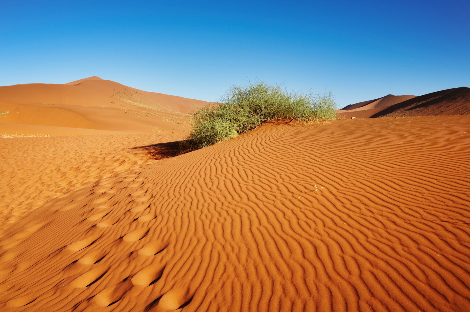 17 Desert Spots for Stargazers Who Seek Beauty and Tranquility - The ...