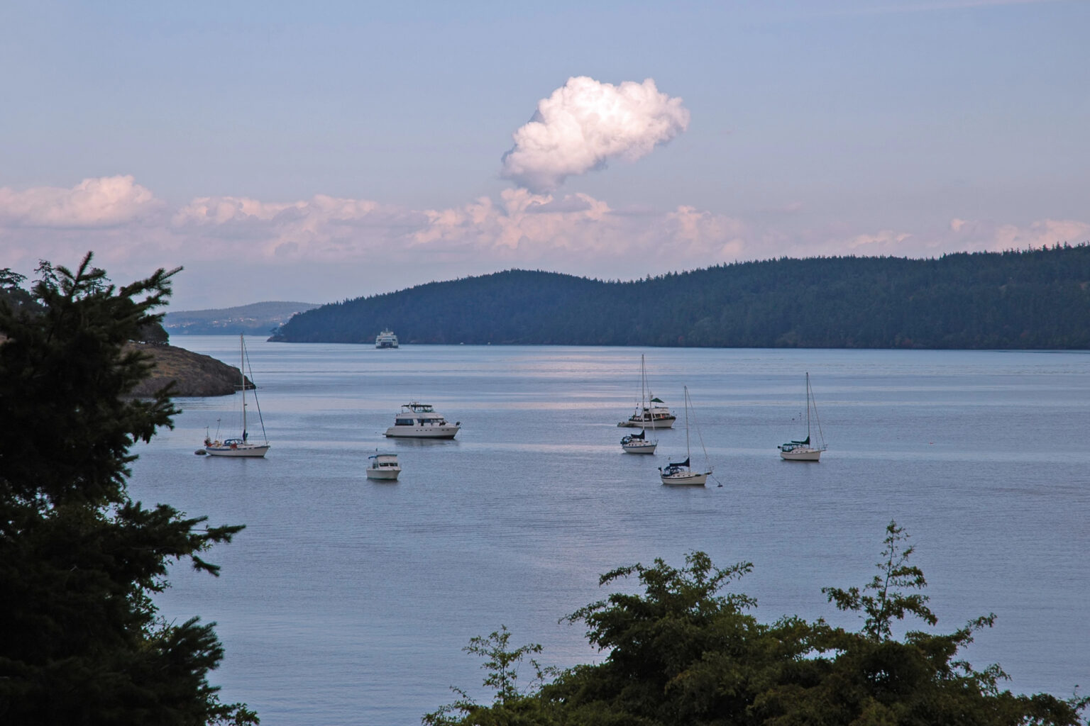 Visit These 18 Hidden Pacific Islands in Washington for a Slice of ...
