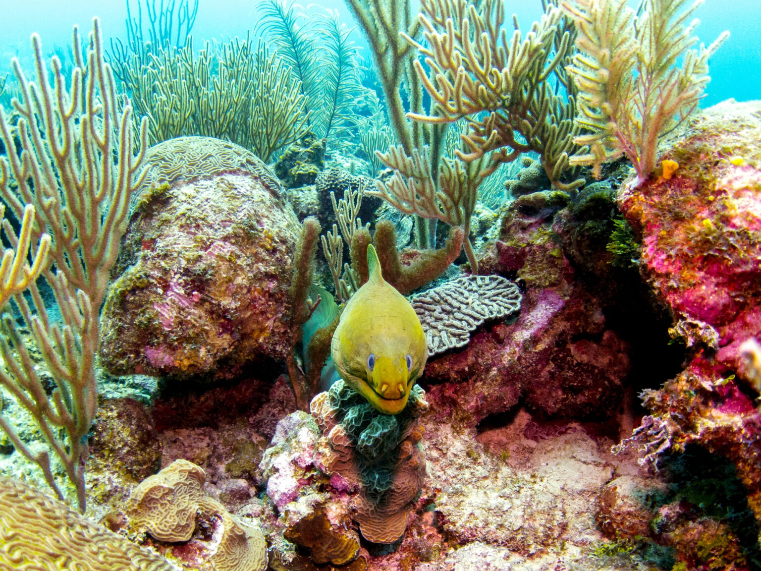 21 Reasons Belize Stands Out as a Unique Travel Destination - The ...