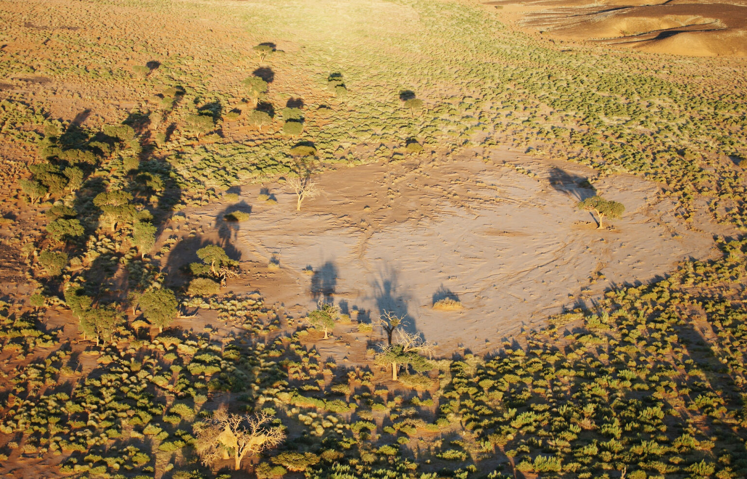 17 Desert Spots for Stargazers Who Seek Beauty and Tranquility - The ...