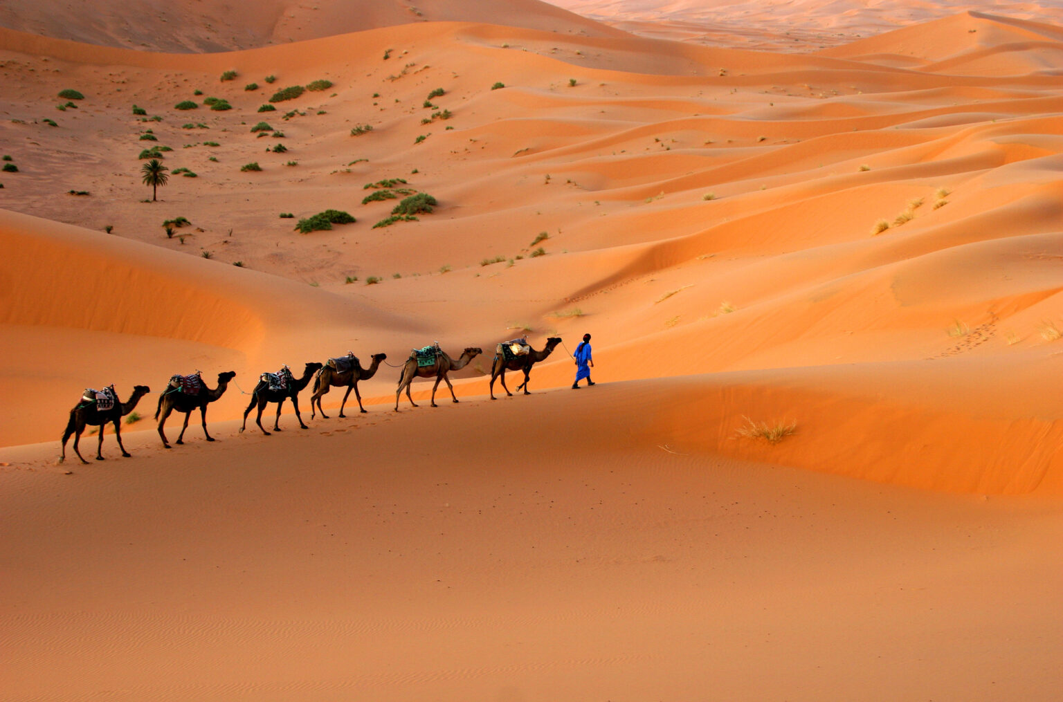 17 Desert Spots for Stargazers Who Seek Beauty and Tranquility - The ...