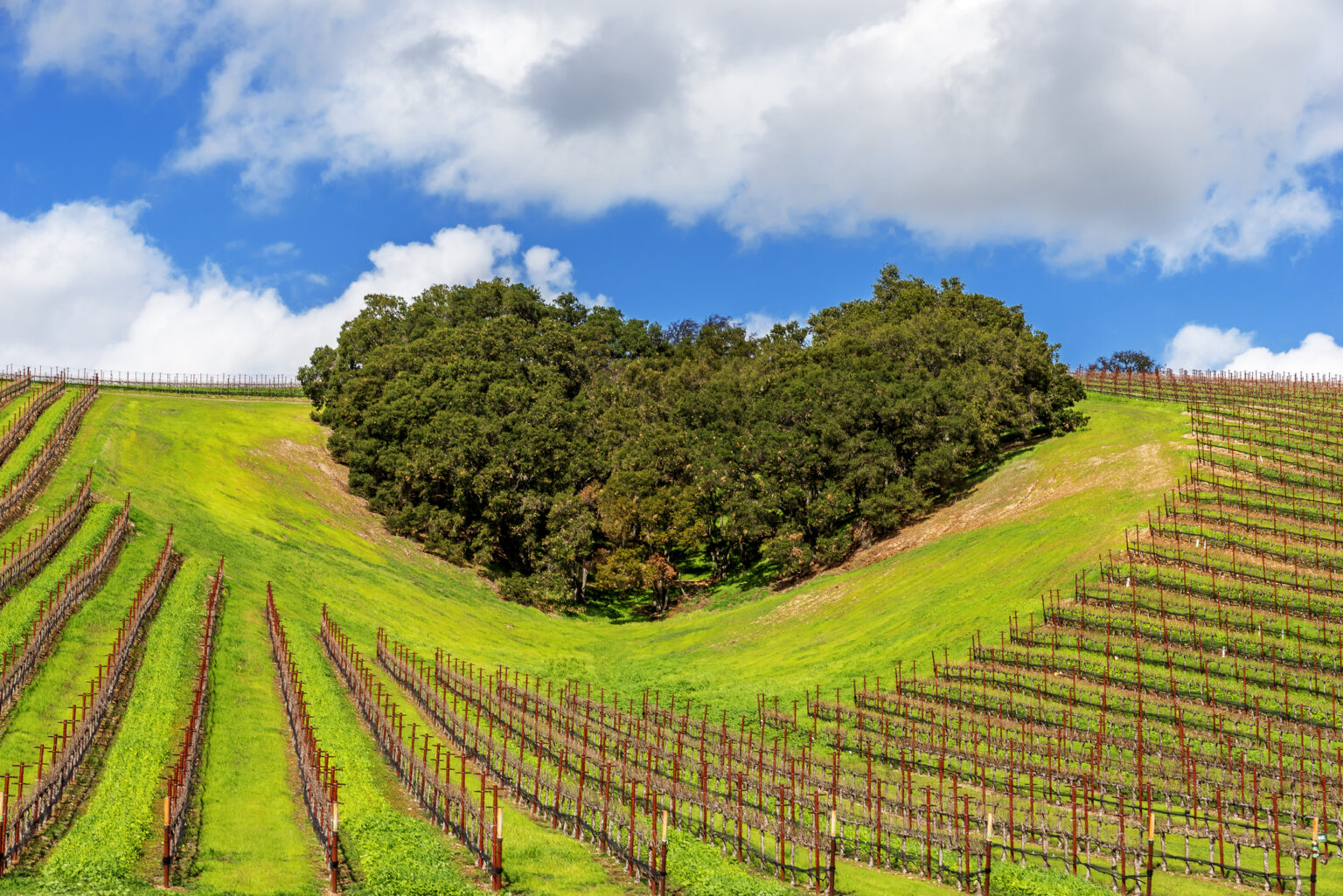 Find Your Ideal Retirement Spot in These 14 Beautiful California Towns ...