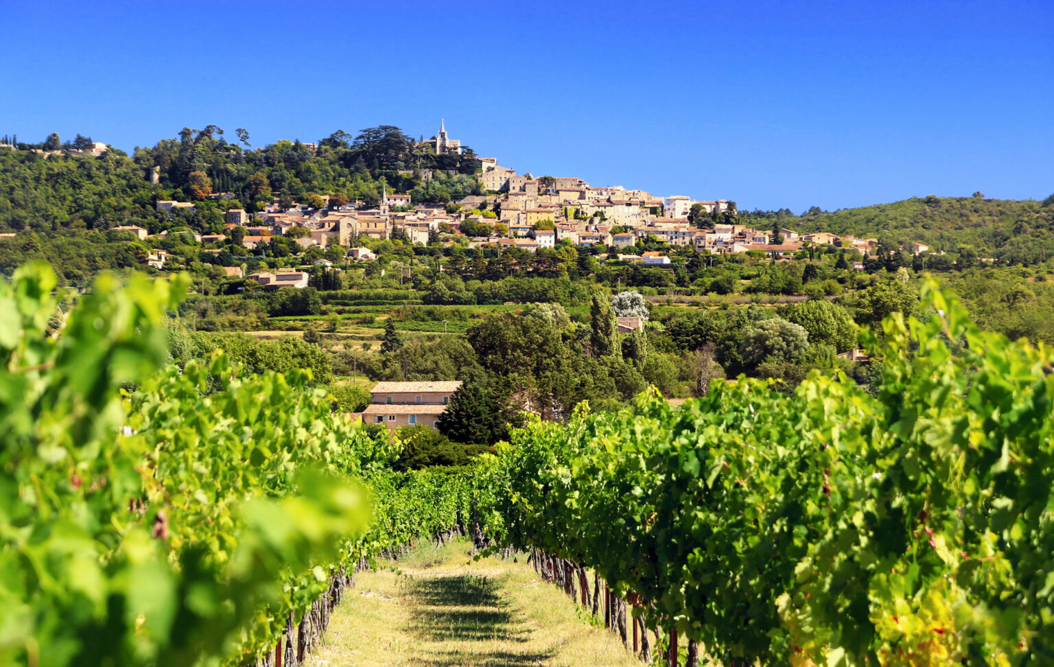 18 Charming Villages in Provence Surrounded by Lavender Fields and ...