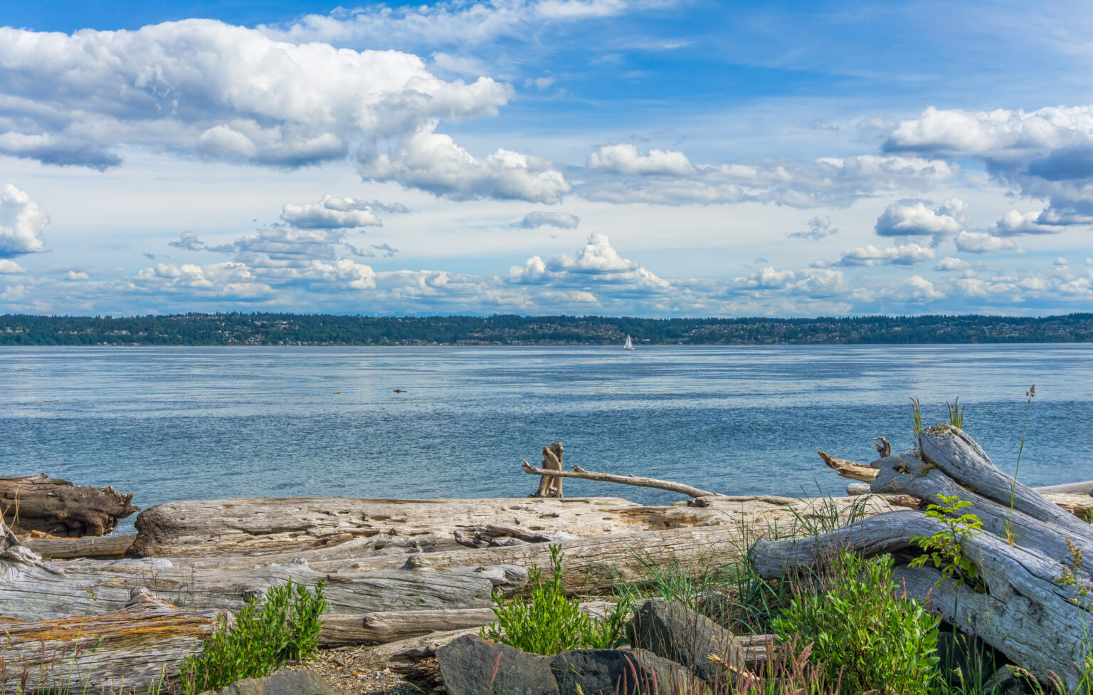 Visit These 18 Hidden Pacific Islands in Washington for a Slice of ...
