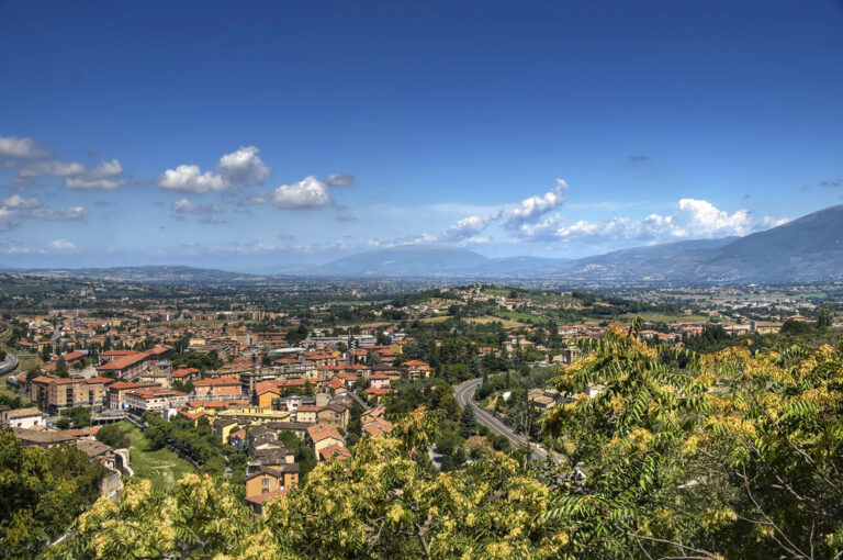 14 Villages in Southern Italy Known for Ancient Olive Groves - The ...