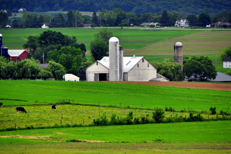 Journey Through 15 Pennsylvania Amish Villages That Offer a Glimpse of ...