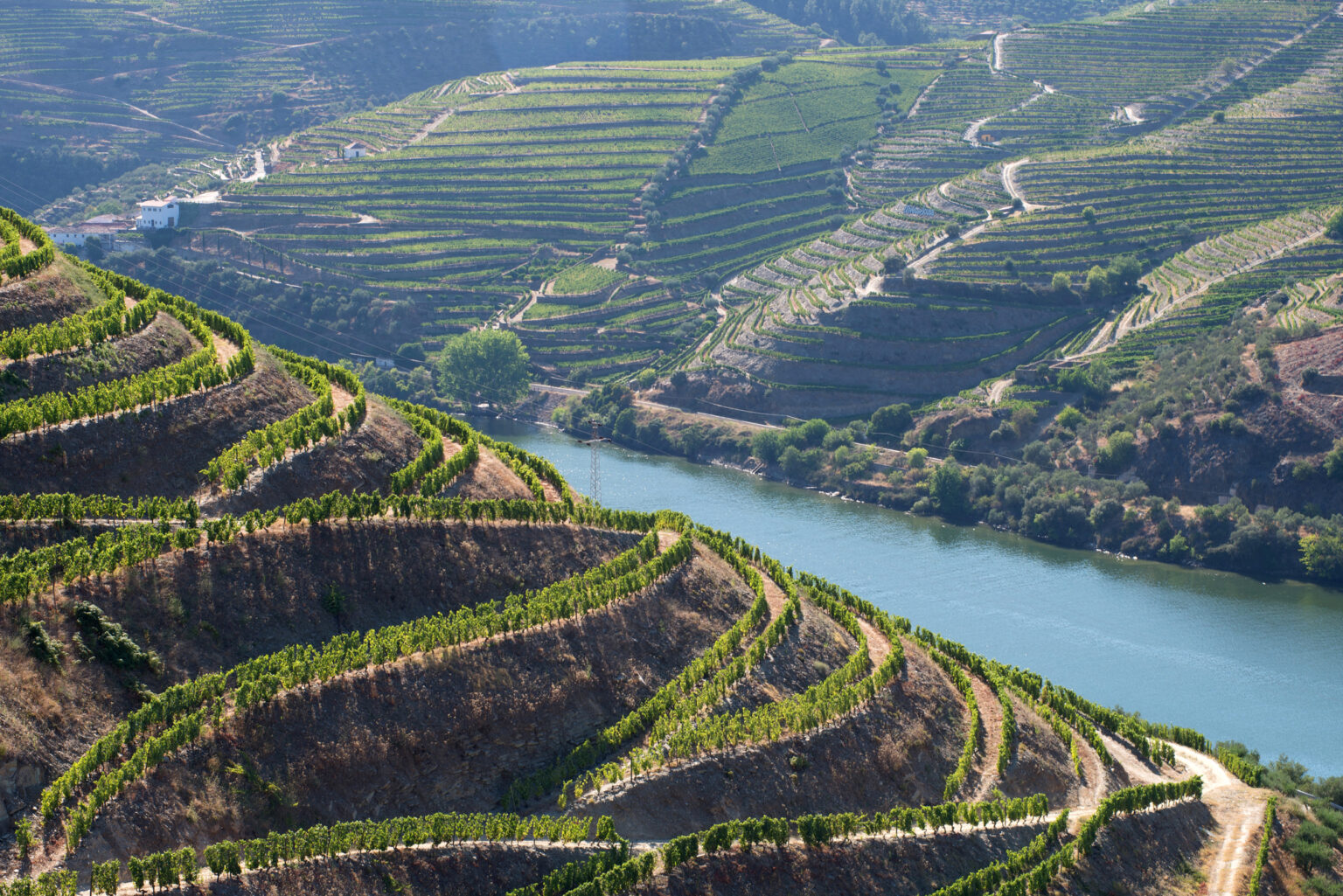 17 Charming Villages in Portugal’s Douro Valley That Are Perfect for ...