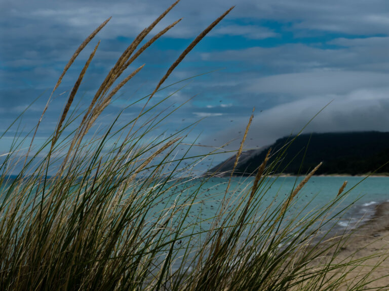 20 Best Lakeside Towns in Michigan for Summer Getaways - The Modern Day ...