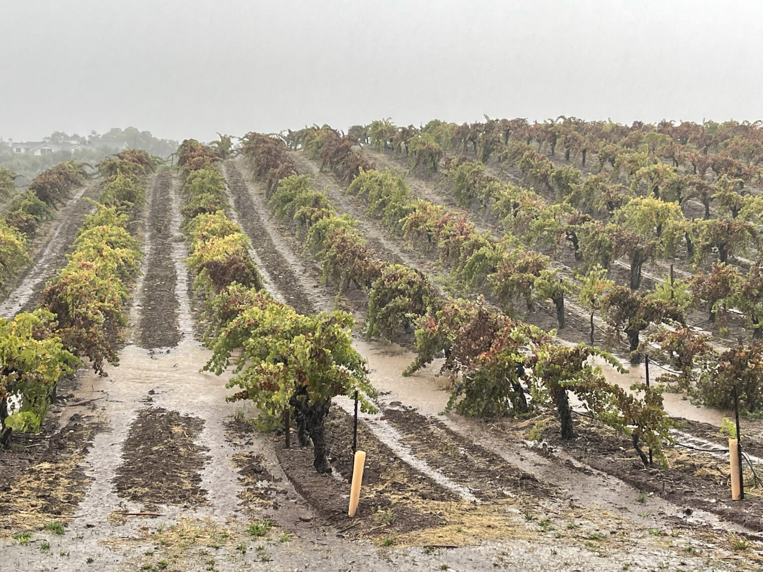 14 Unique Towns in California’s Wine Country for Tastings and Charm ...