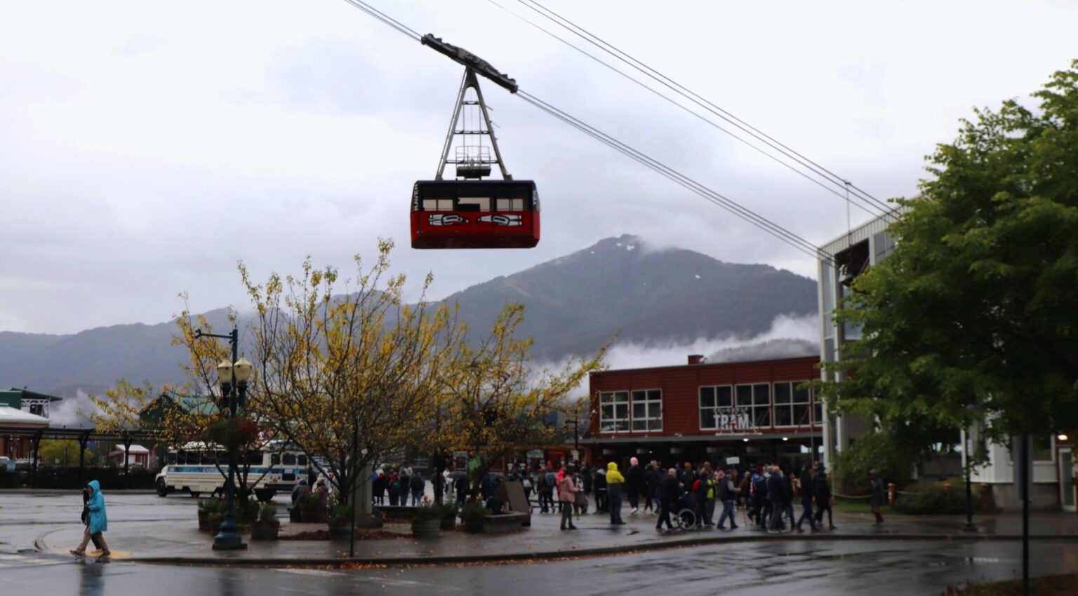 Juneau Like a Local: 15 Must-Do Activities for an Epic Visit in Juneau ...