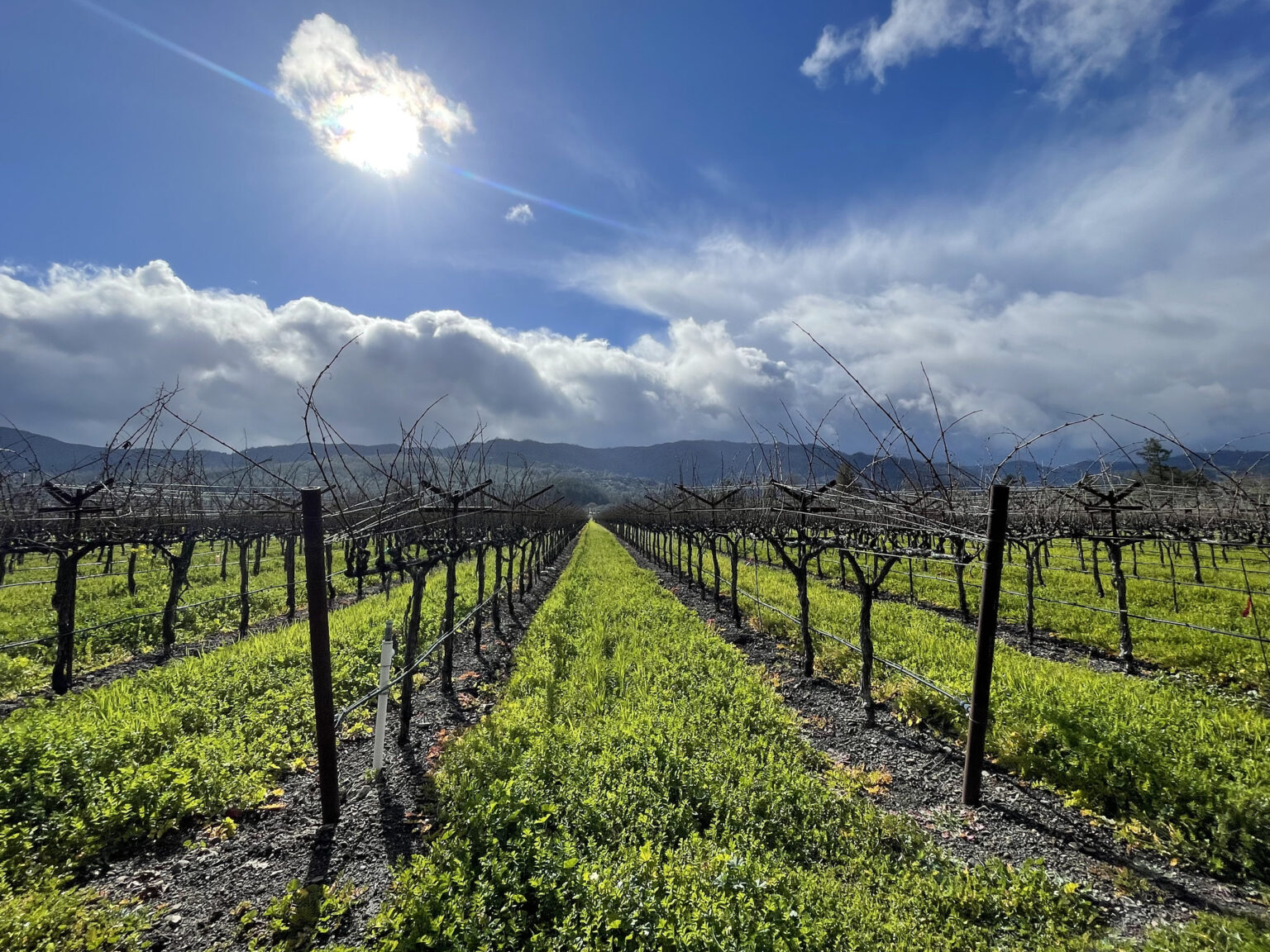 14 Unique Towns in California’s Wine Country for Tastings and Charm ...