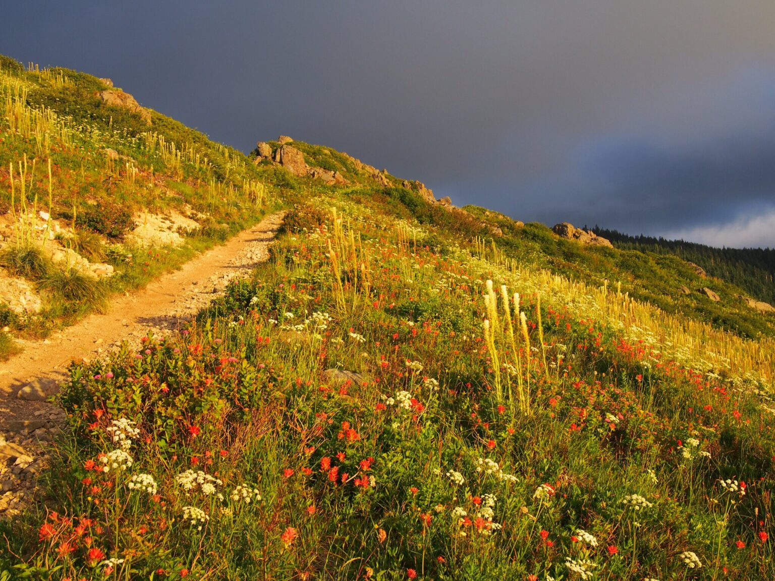 14 Unexplored Places on Earth That Will Completely Blow Your Mind - The ...