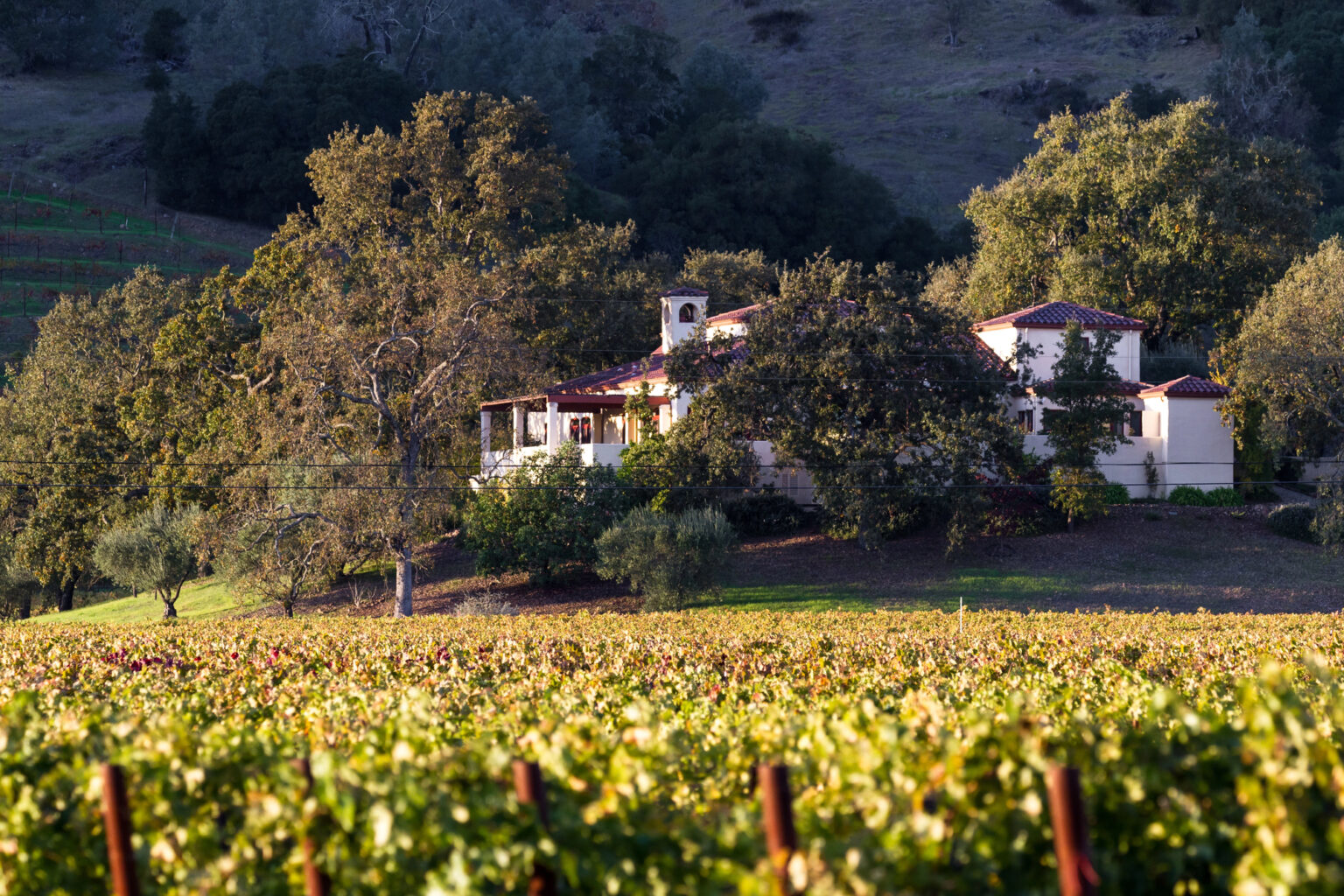 14 Unique Towns in California’s Wine Country for Tastings and Charm ...