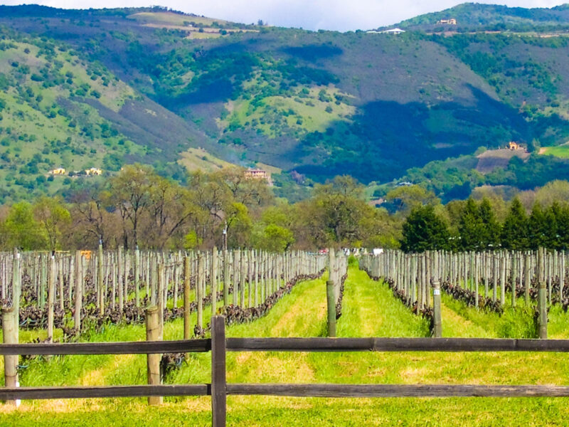 14 Unique Towns in California’s Wine Country for Tastings and Charm ...