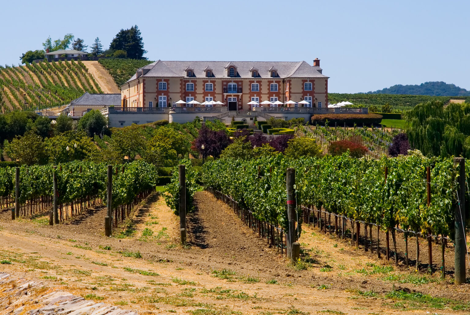 14 Unique Towns in California’s Wine Country for Tastings and Charm ...