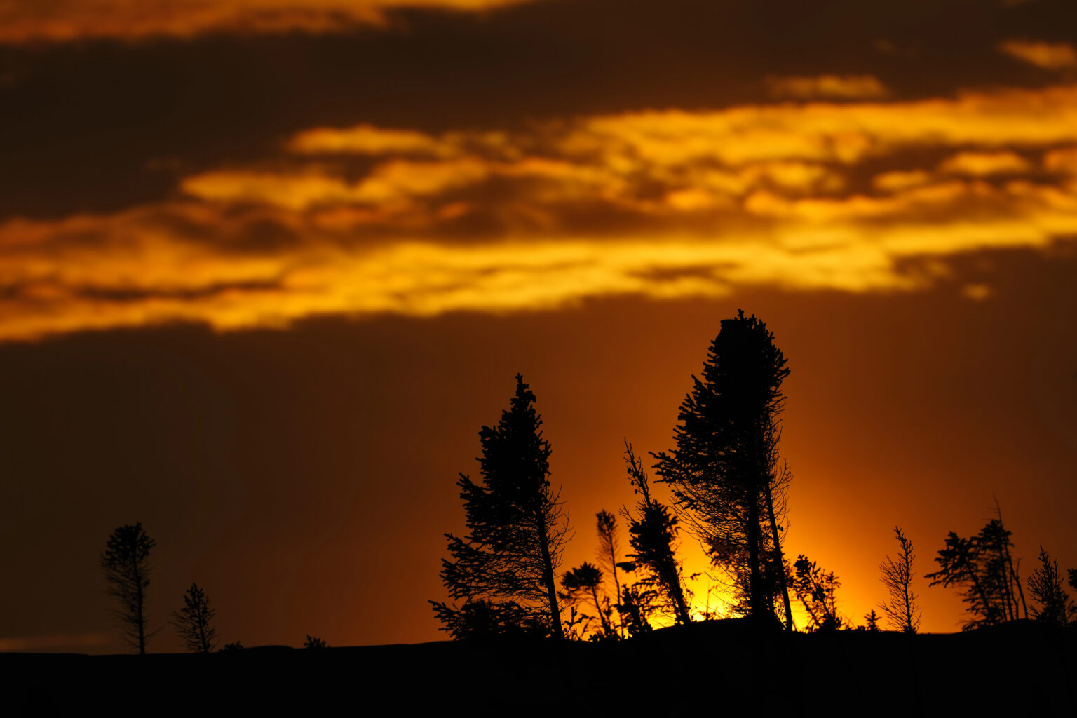 13 Remote National Parks in Canada for Pristine Wilderness - The Modern ...