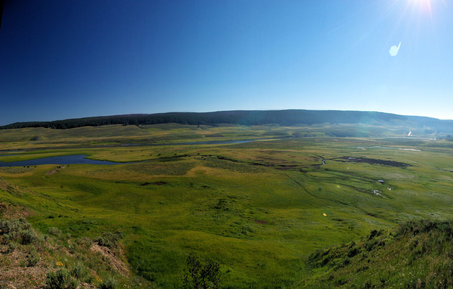 20 Jaw-Dropping Natural Wonders You Have to See in Yellowstone National ...